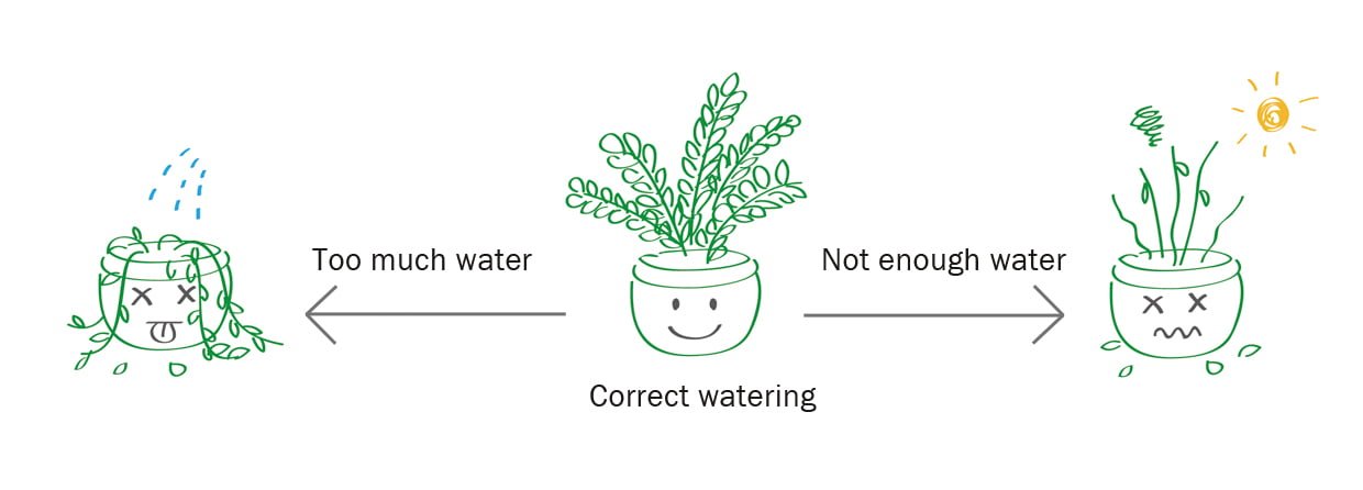 How it works - Sustee