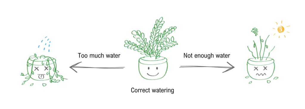How it works - Sustee